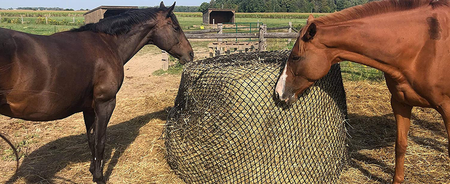 Hay Net | Efficient Feeding Solution | NettingExpert