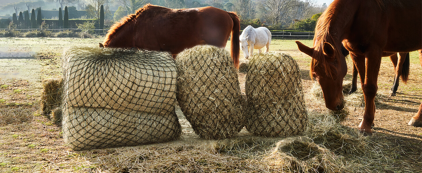 The Ultimate Hay Net Guide 2024 | NettingExpert